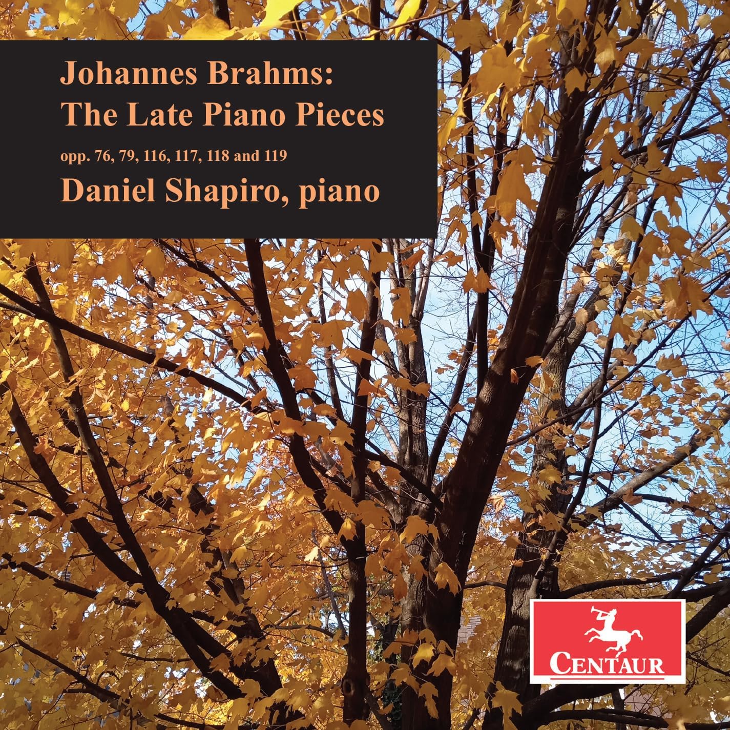 Brahms: The Late Piano Pieces - Touché Livros