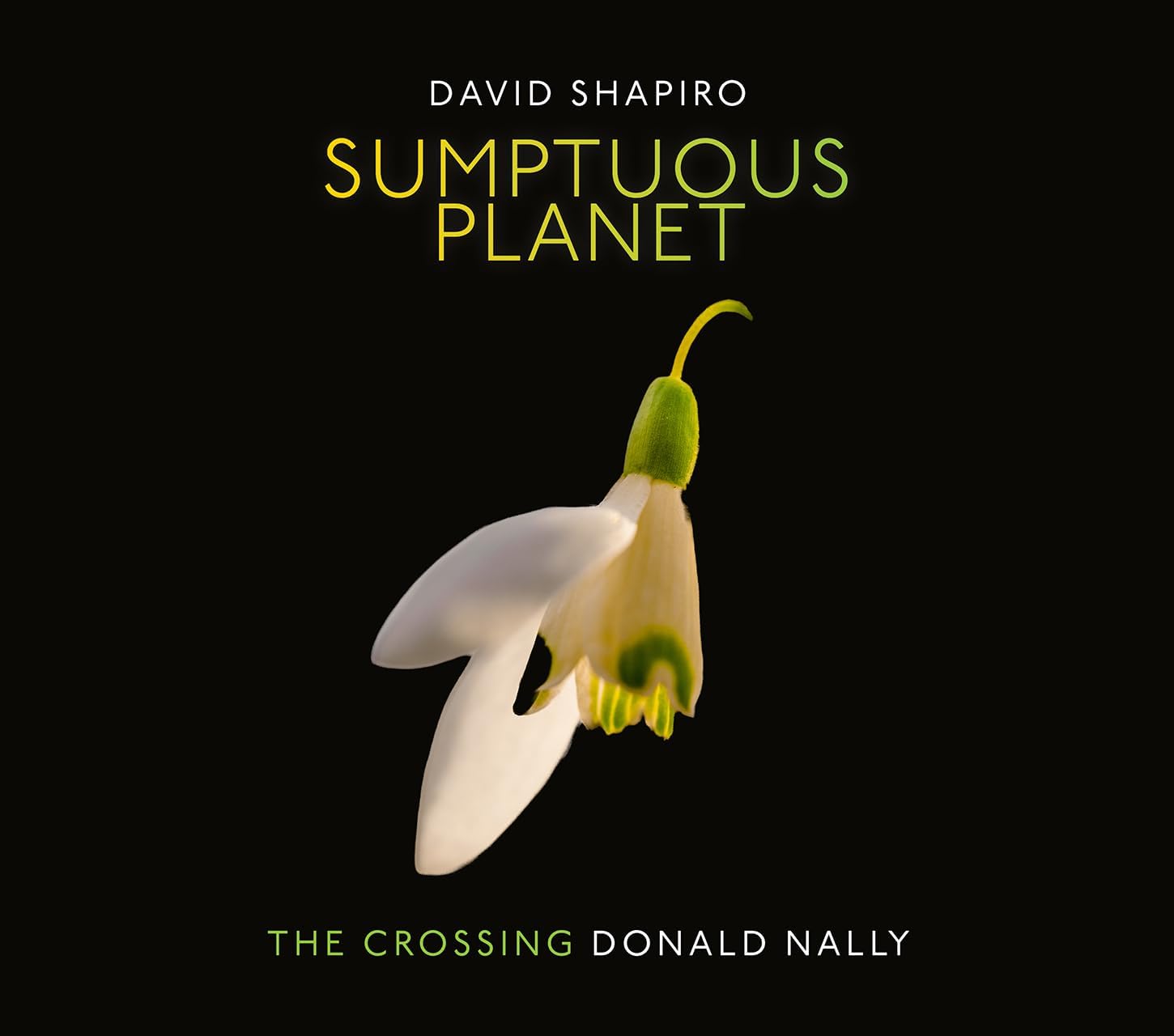SHAPIRO: SUMPTUOUS PLANET - Touché Livros