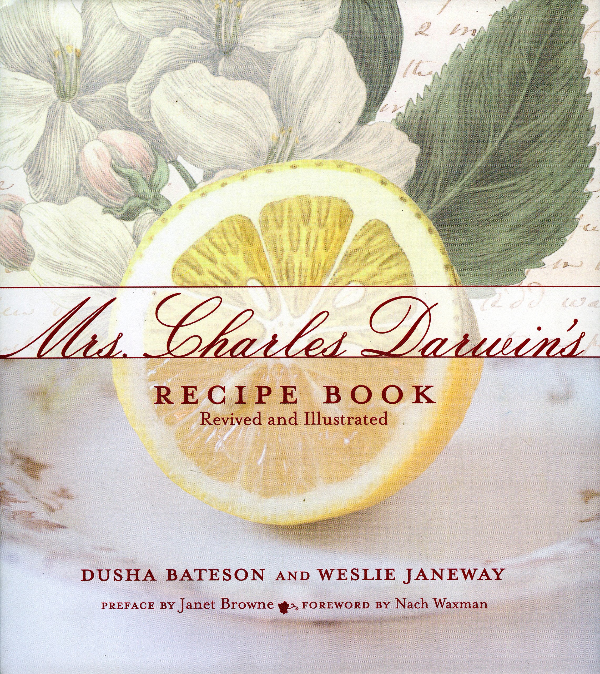 Mrs. Charles Darwin's Recipe Book: Revived and Illustrated - Dusha ...